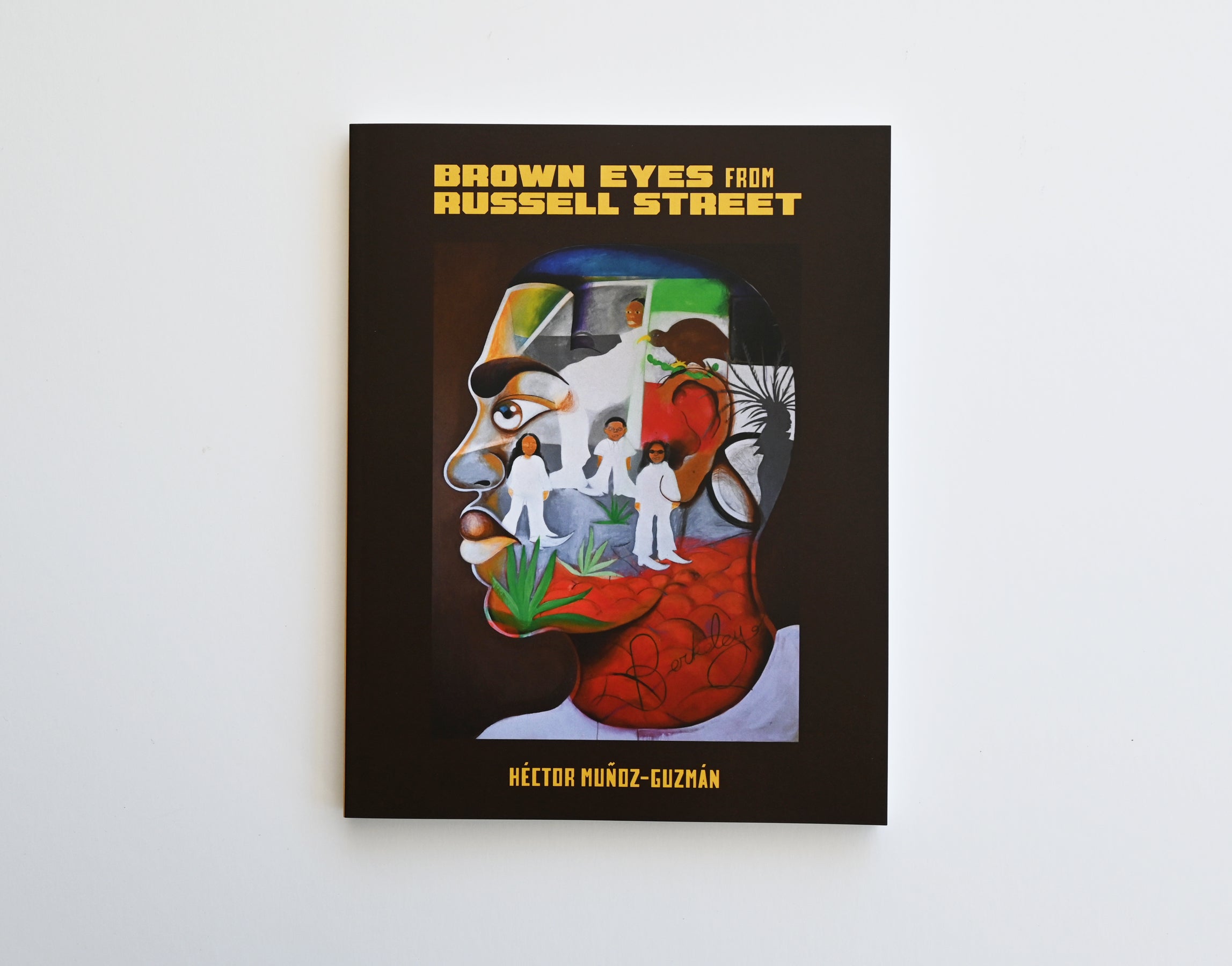 Héctor Muñoz-Guzmán: Brown Eyes from Russell Street – Sming Sming Books