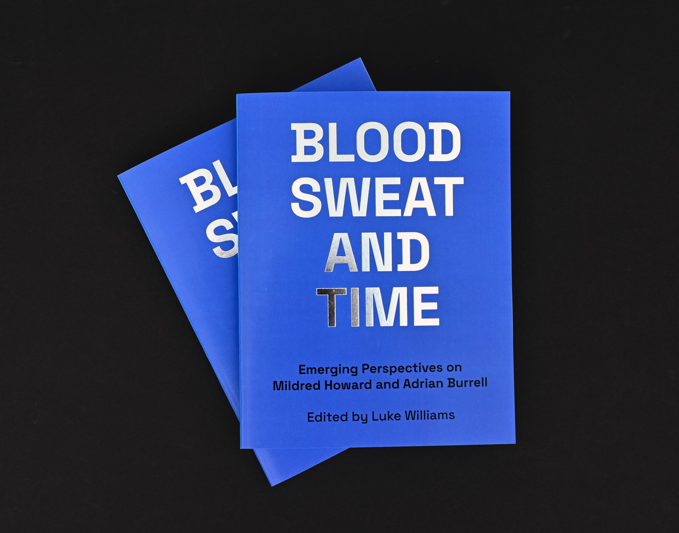 Blood, Sweat, and Time: Emerging Perspectives on Mildred Howard and Ad ...