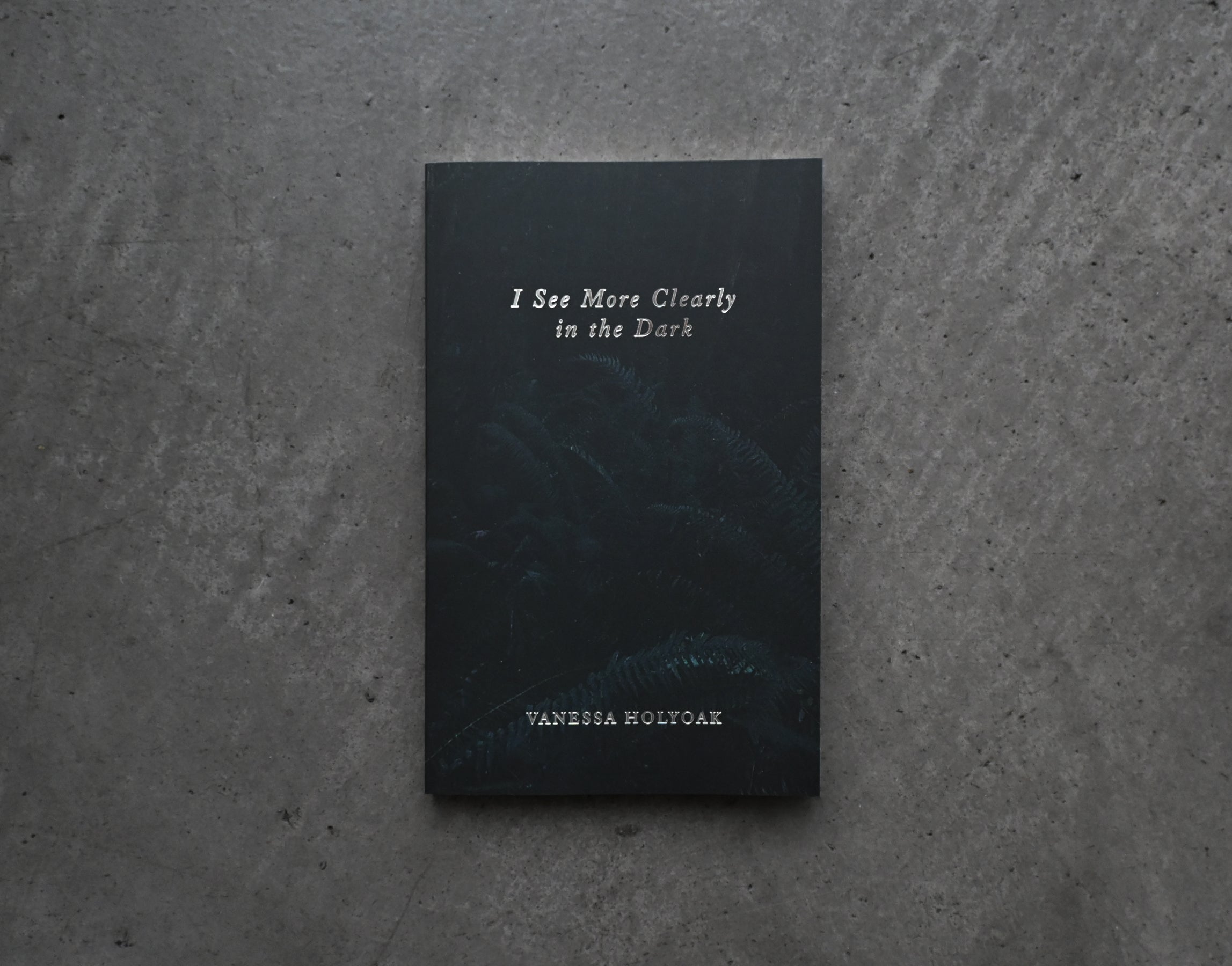 Vanessa Holyoak: I See More Clearly in the Dark – Sming Sming Books
