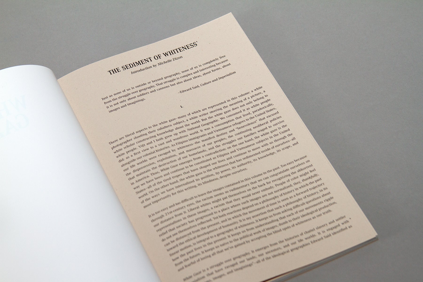 Michelle Dizon & Việt Lê: White Gaze (2nd edition) – Sming Sming Books